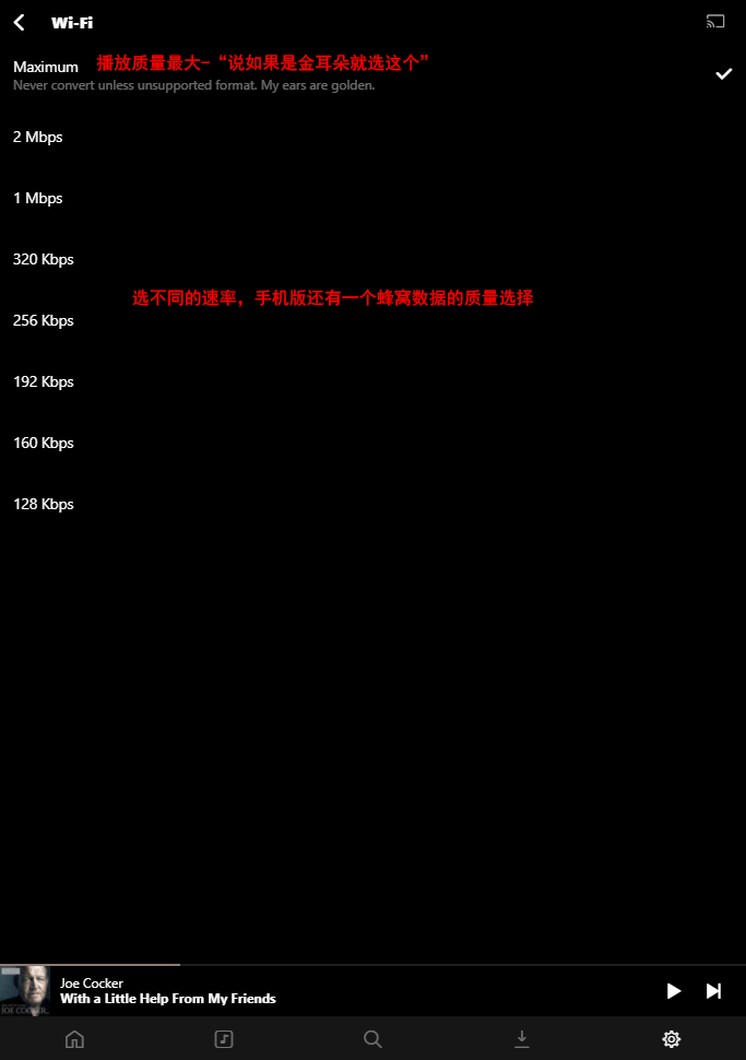 Plexamp 操作简介及中英文对照（4.7.4后已有中文版了）-LML|明亮 ‘s 记事本