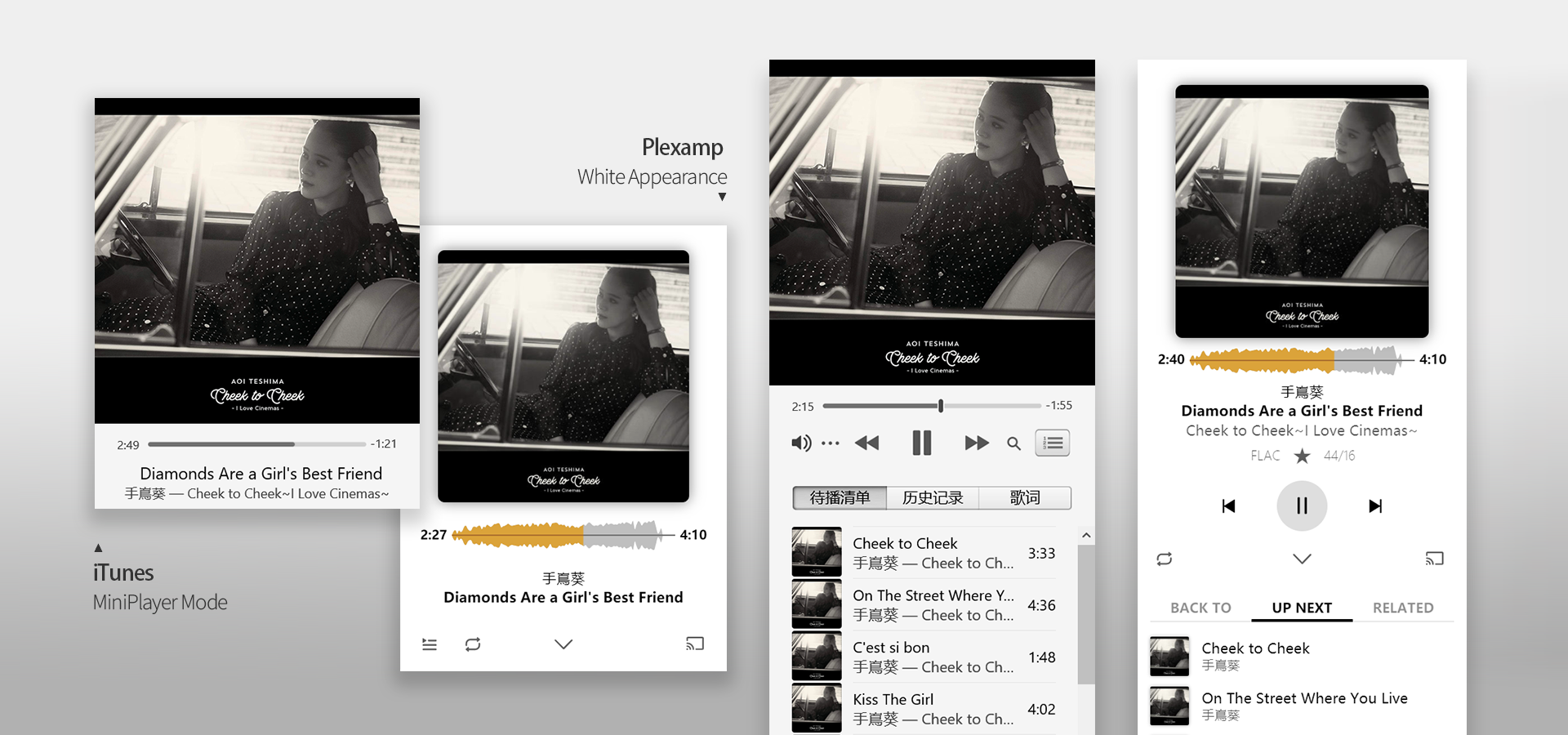 Plexamp 操作简介及中英文对照（4.7.4后已有中文版了）-LML|明亮 ‘s 记事本